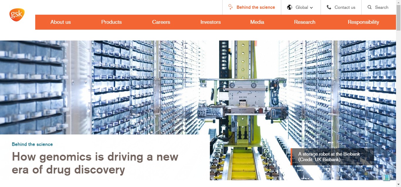 GlaxoSmithKline - Profile