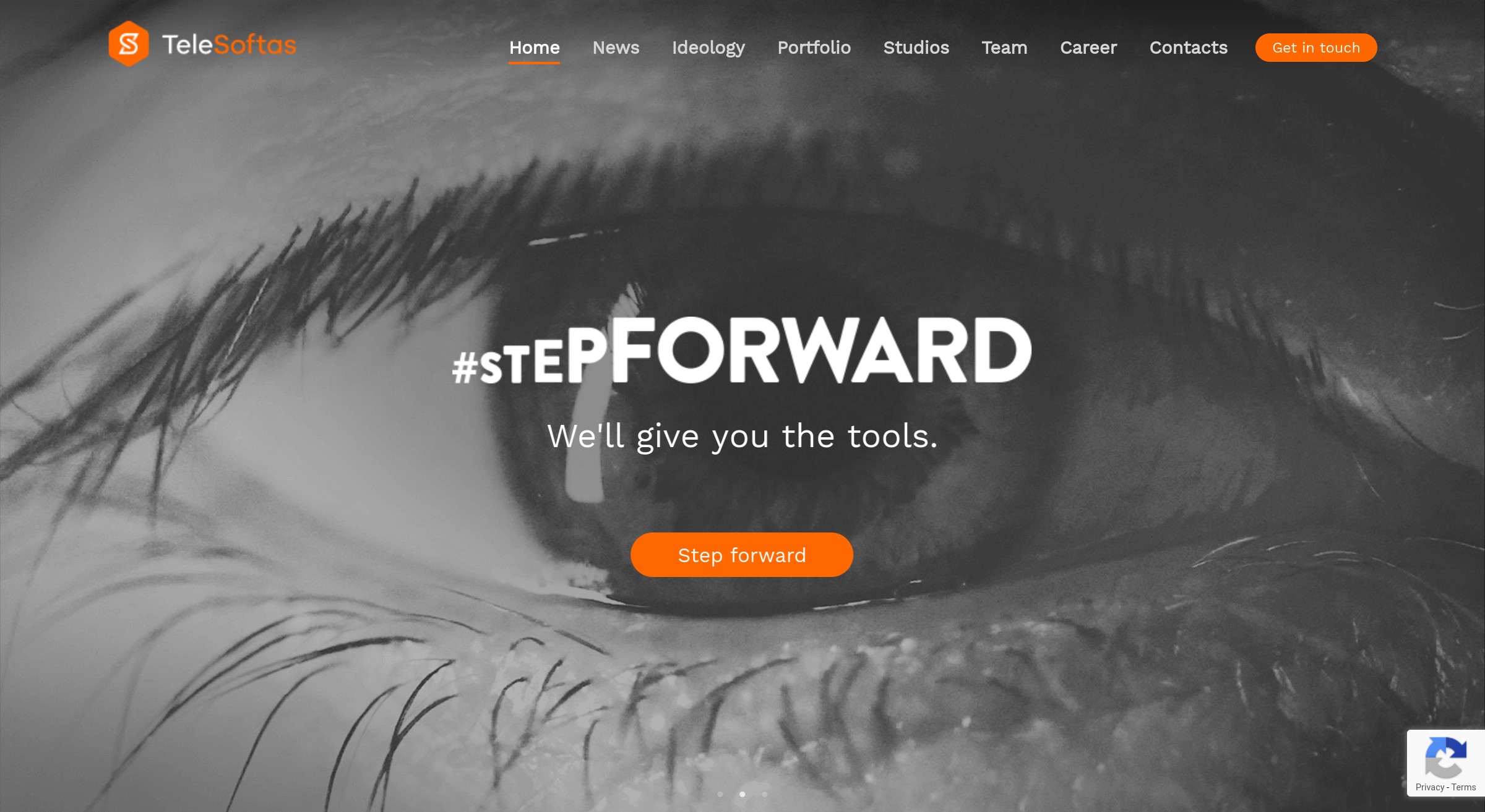 Telesoftas - Profile